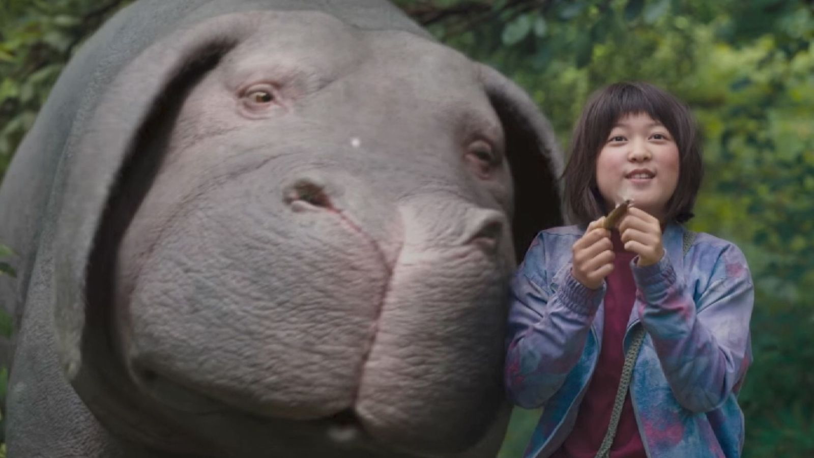 Okja: A Movie Review