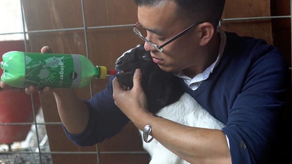 He was trying to rescue a sick baby goat, he said. NC cops charged him ...