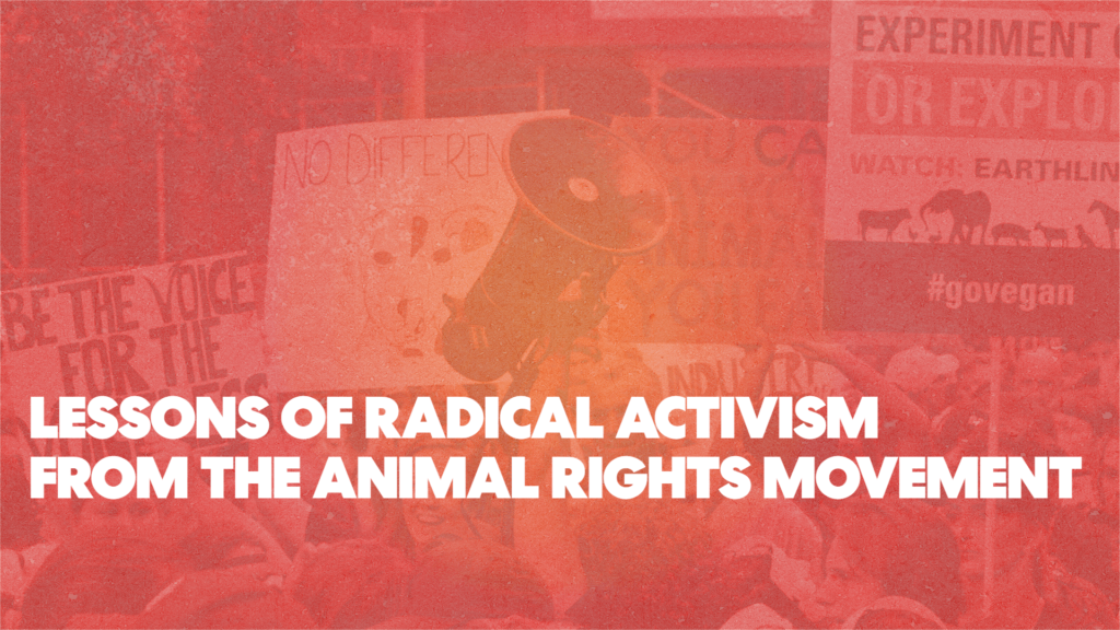 Lessons of radical activism from the animal rights movement