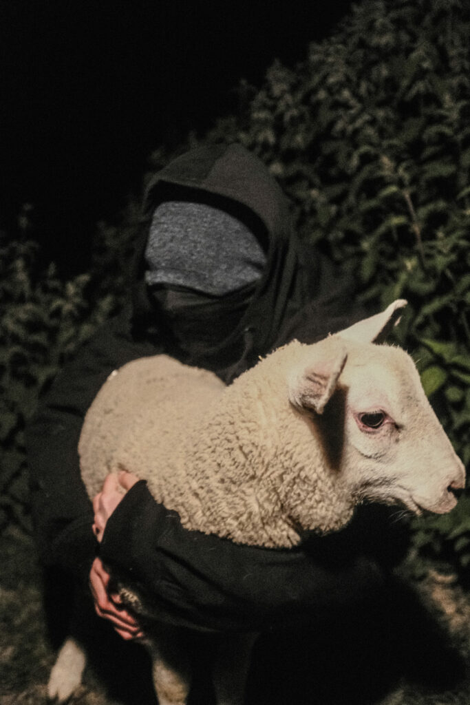 Filed under Communiqués in the News