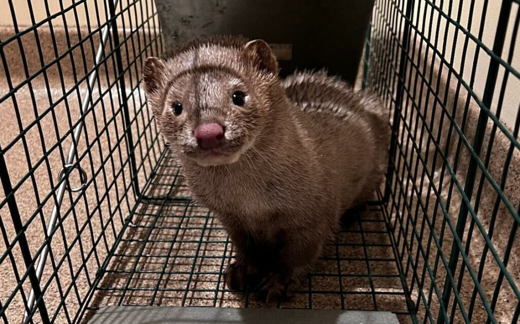 Filed under Press Releases