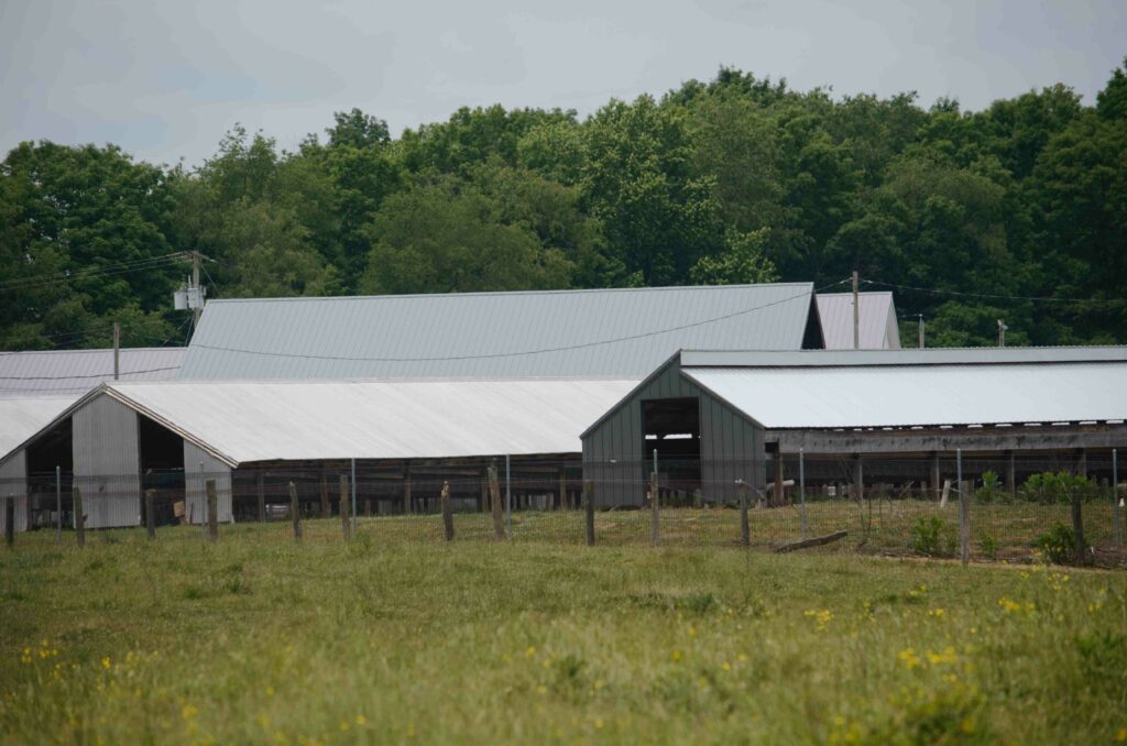 Filed under Press Releases