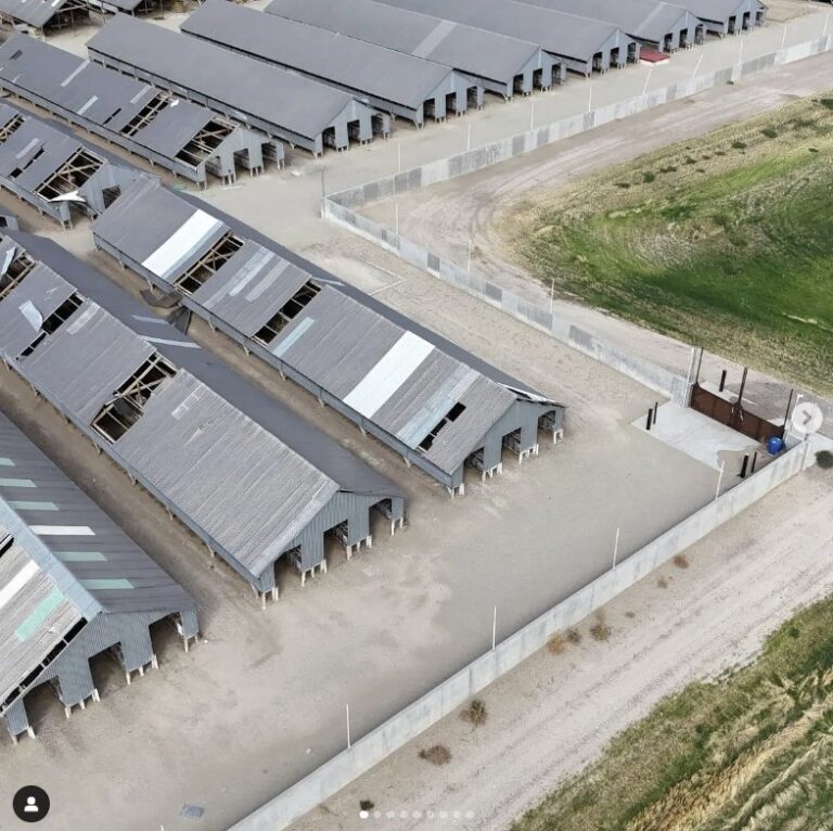 Filed under Press Releases